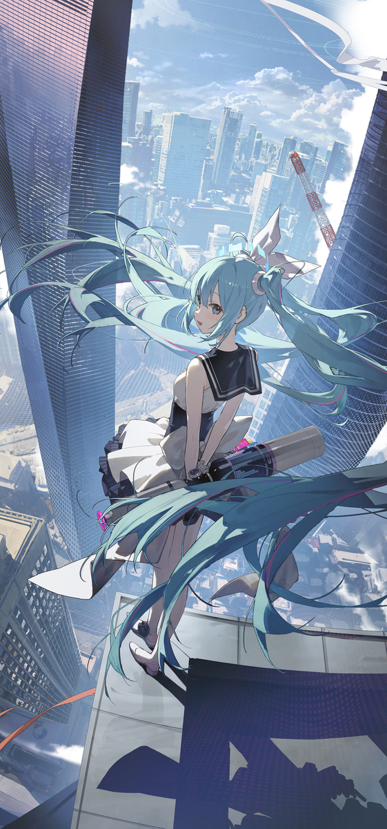 - net6web